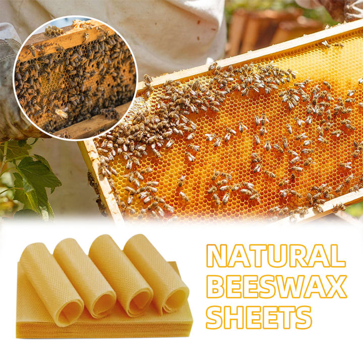 Natural Beeswax Honeycomb Sheets Honeybee Nest Base Wax Flake Multi ...