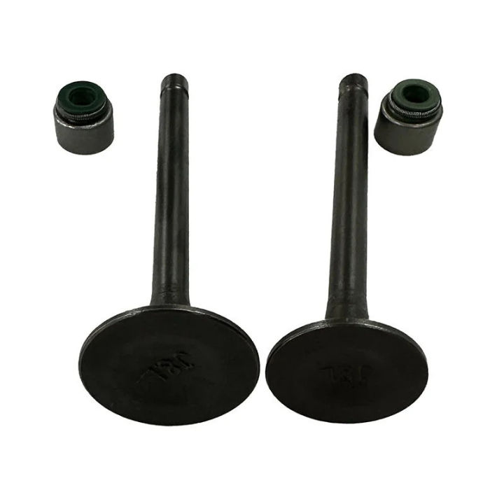 High Quality Motorcycle Spare Parts for for Bajaj CT100 Engine Valve ...