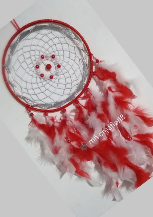 Dream Catcher (Red &White Wings) & Free Multi Color Dream Catcher ...