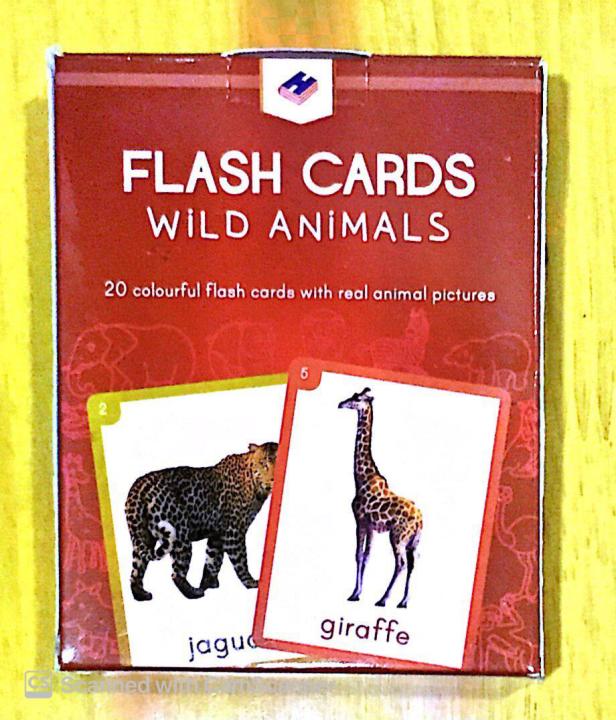 Flash Cards Wild Animals | Daraz.lk