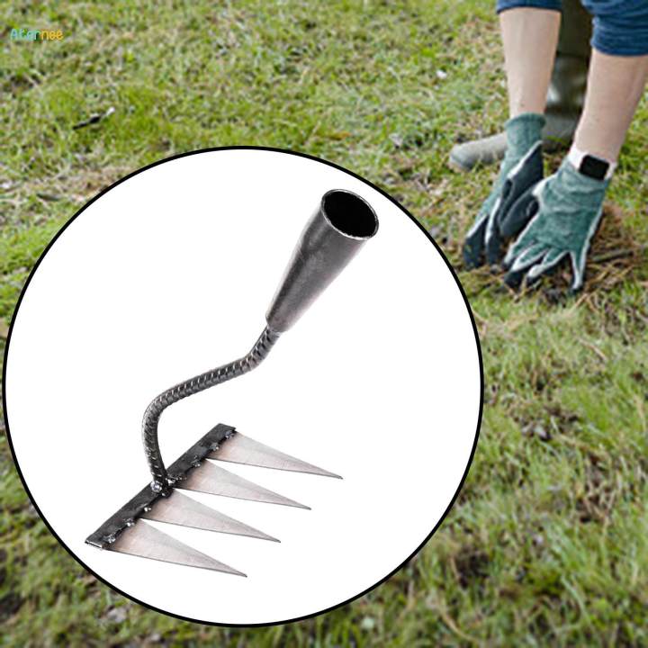 Garden Rake Carbon Hand Rake for Loosening Cultivating Mulching | Daraz.lk