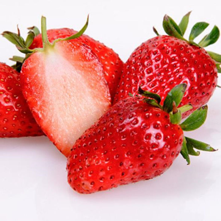 Festive Artificial Decorations Fruits Red Plastic Simulated Mini ...