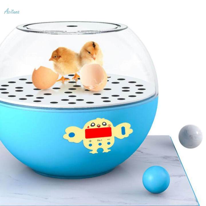 6 Eggs Incubator, Chicken Hatching Machine, Visible Digital Egg ...