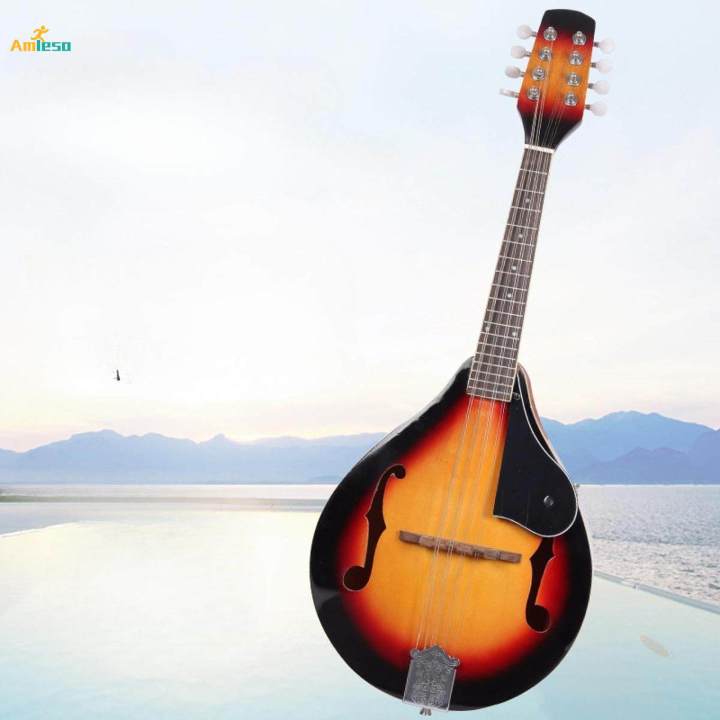 Mandolin Musical Instrument 8 String Acoustic Mandolin Stringed Toy ...