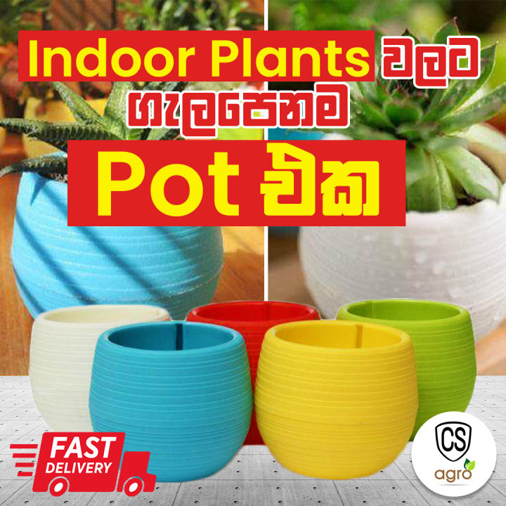 High Quality Table Ball Pot Plastic Flowerpot Home Garden | Daraz.lk