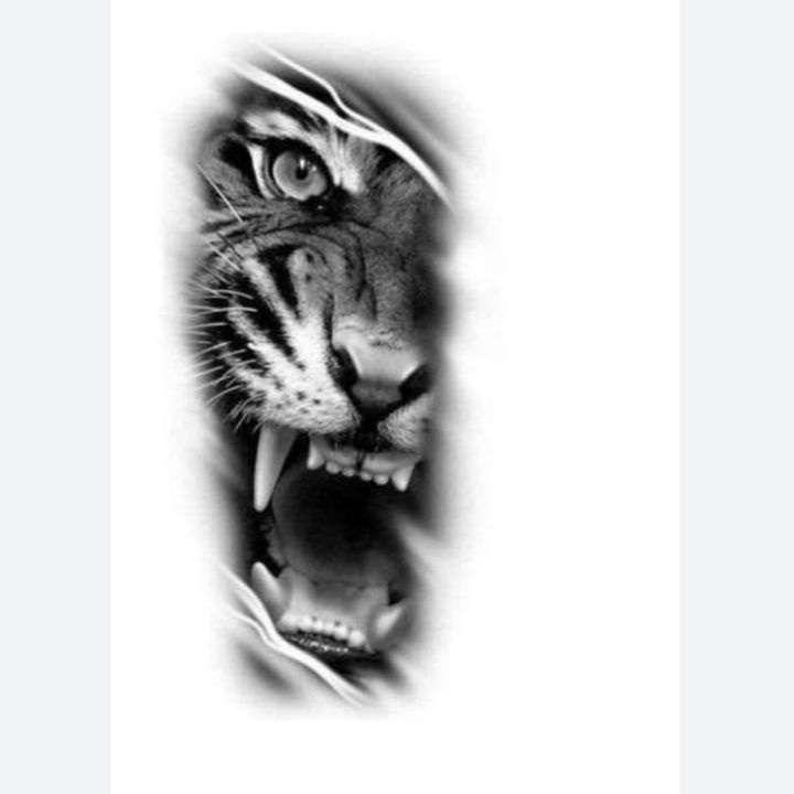 High Quality Vehicle Decore Sticker (28 x 15 cm) For Car | Van | Bike ...