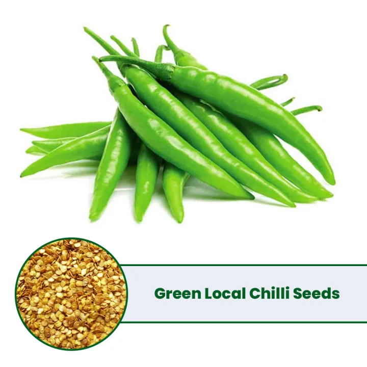 Green Chilli Seeds 1g - High Quality Seeds | Daraz.lk