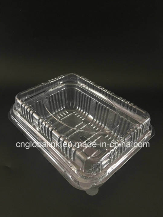 Transparent Food Tray 1kg Disposable Plastic Food Box 100/50/25 pcs ...