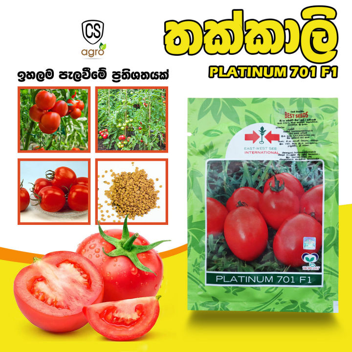 Tomato Platinum 701 F1 Seeds Takkali Beeja තක්කාලි බීජ 2.5g Home Gardening Agriculture | Daraz.lk
