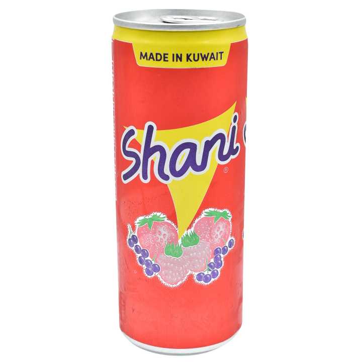 Shani Drink Mix Fruit Made in Kuwait | Daraz.lk