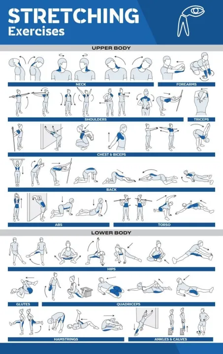 Stretching Exercises Posters for Home Gym Exercise Posters for Full ...