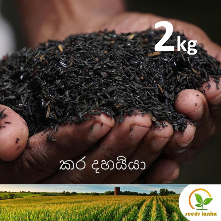 Rice Husk Charcoal Rice Hull Biochar for Natural Organic Farming ...