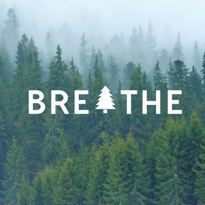 【0ddf02d4】Breathe Tree Vinyl sticker , Just Breathe Quote Vinyl Sticker ...