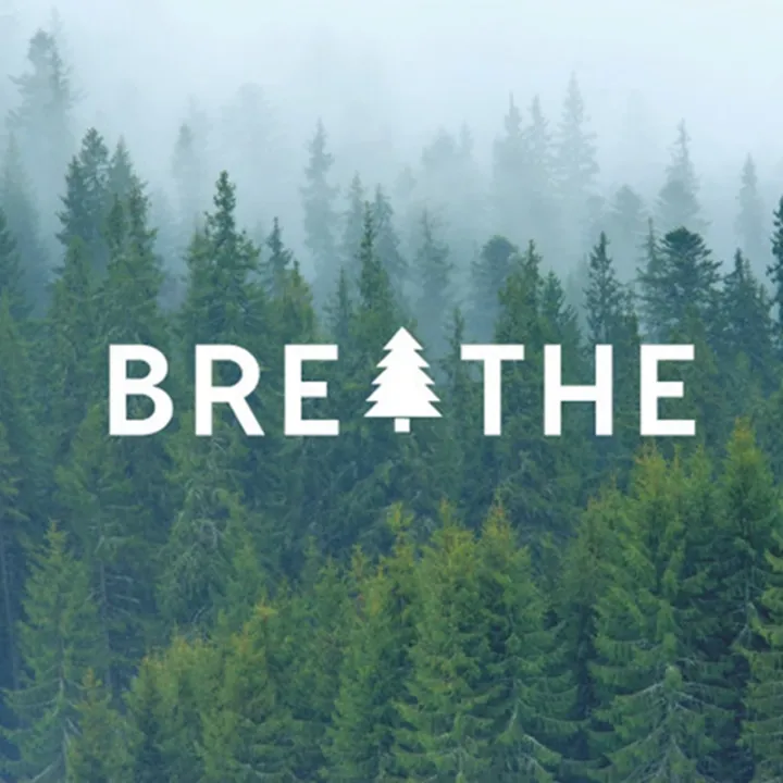 【0ddf02d4】Breathe Tree Vinyl sticker , Just Breathe Quote Vinyl Sticker ...