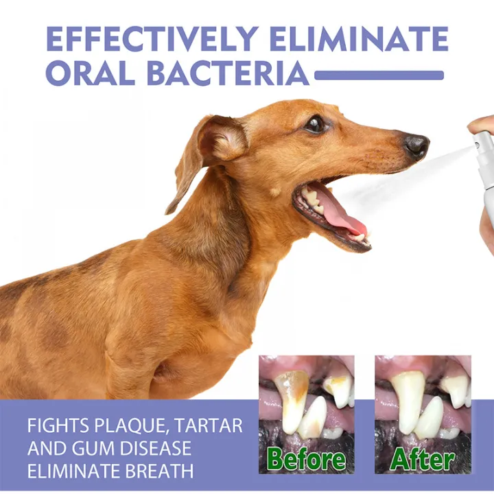 60ml Pet Oral Cleanse Spray Dogs Cats Teeth Clean Deodorant Prevent ...