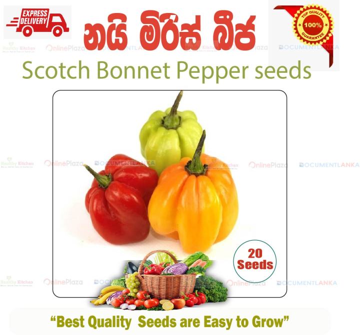 Scotch Bonnet Hot pepper F1 Hybrid seeds Home Garden Best Seed East ...