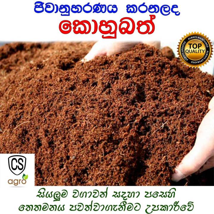 Coco Peat 2KG Sterilizing Fertilizer Agriculture jeewanuharanaya ...