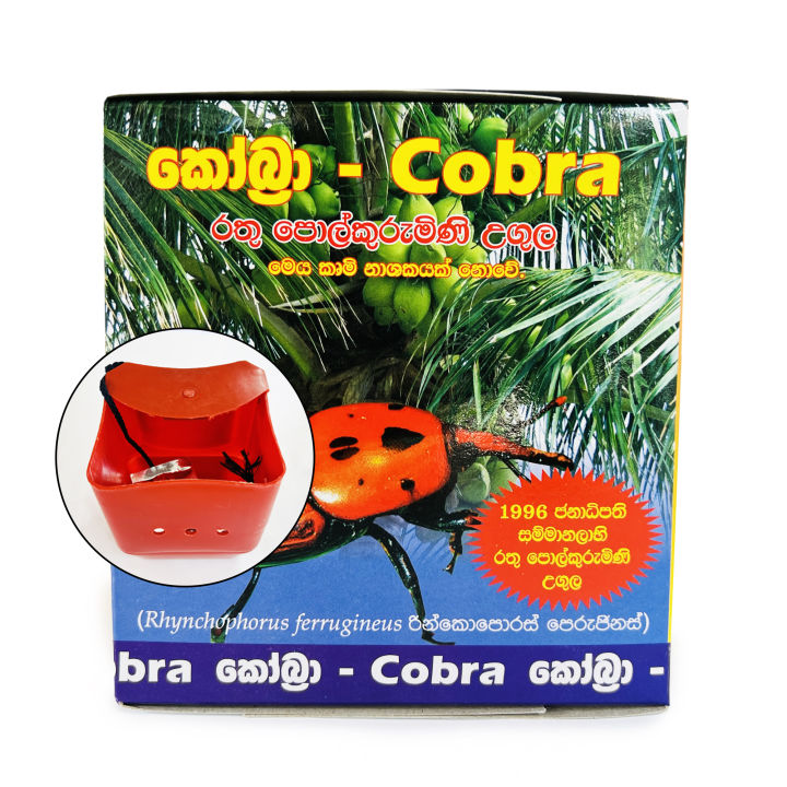 Pheromone Red Palm Weevil Trap Insect Control රතු පොල්කුරුමිනි උගුල ...