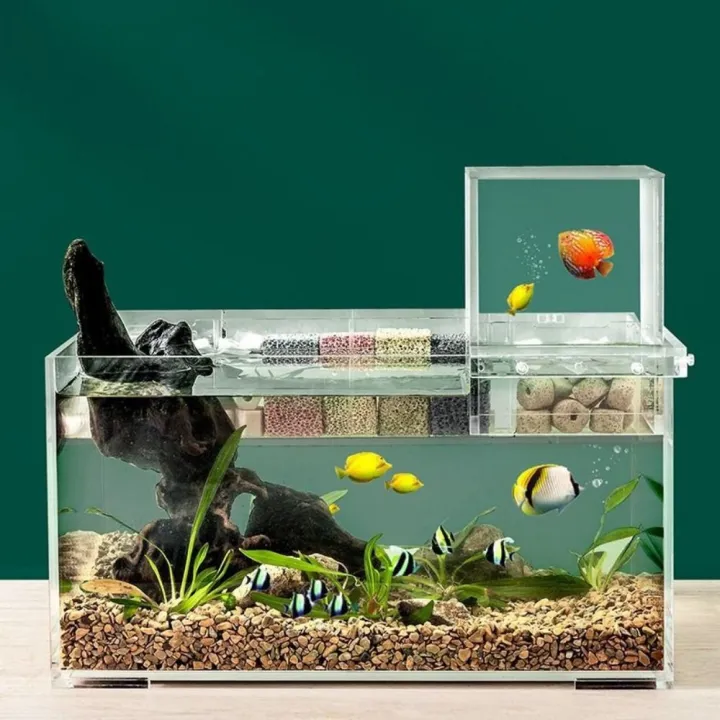 Portable Landscaping Negative Pressure Fish Unique Easy to Install ...