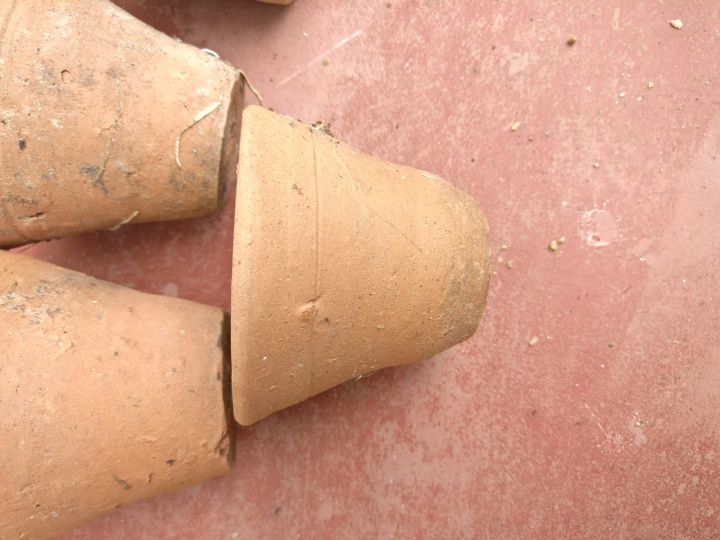 Orchid Plant Clay Pot Natural Clay Pots | Daraz.lk