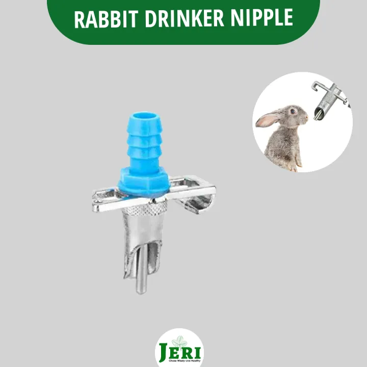 Automatic Mouse Rabbit Water Drinker Bunny Rodent Feeder New /Water ...