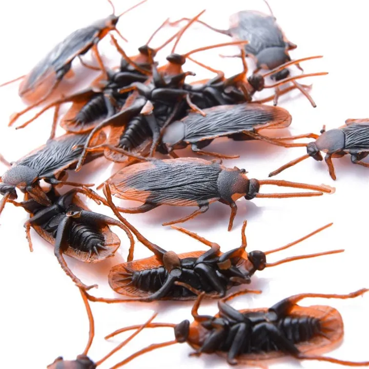 【Dream Sailing Store 】Cockroach / Innocent Play A Prank Roaches Toy ...