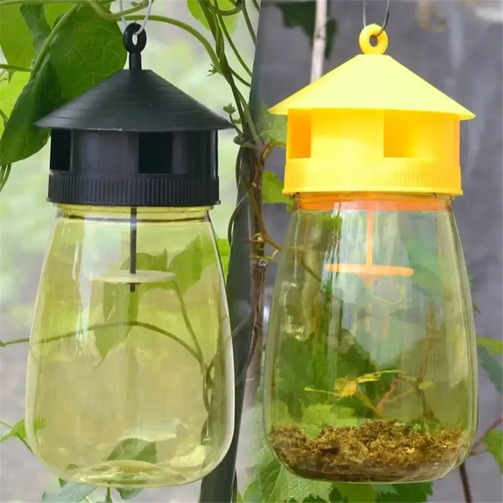 Fruit Fly Trap Killer Yellow Plastic Drosophila Trap Anti Fly Fruit Fly ...