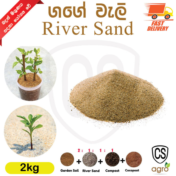 River Sand Pot Mix Potting Mixture Agriculture gage weli | Daraz.lk