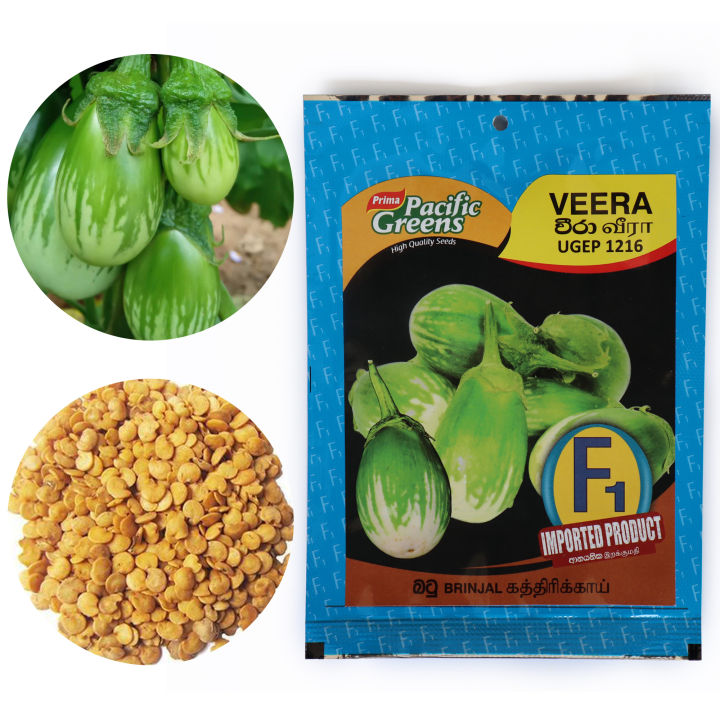 F1 Hybrid Brinjal Veera UGEP 1216 Seeds Batu 2.5g | Daraz.lk