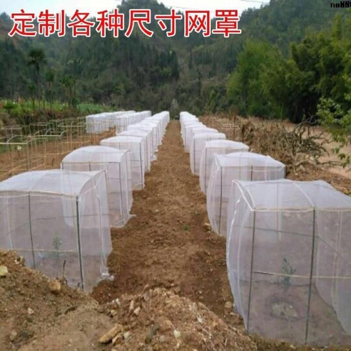 Vegetables 60] Greenhouse Trees for Agriculture 40 Vegetable Mesh Is ...