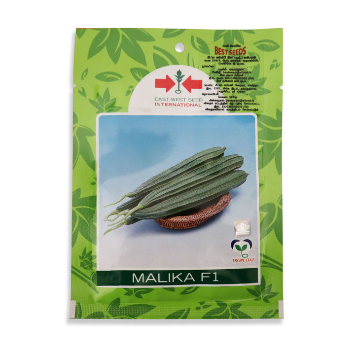 Ridge Gourd Malika F1 Hybrid Luffa Seeds Watakolu Beeja දෙමුහුන් ...