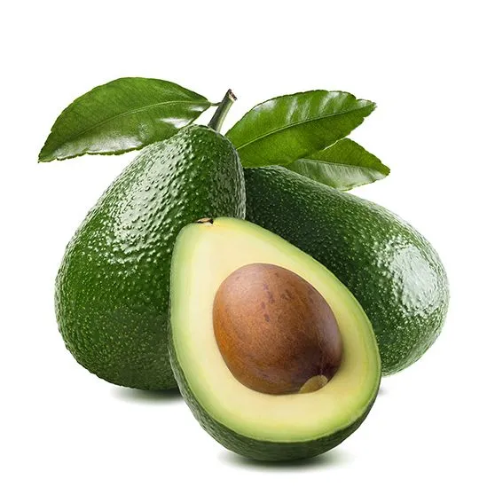 Avocado Plant ( Ali Geta Pera ) | Daraz.lk