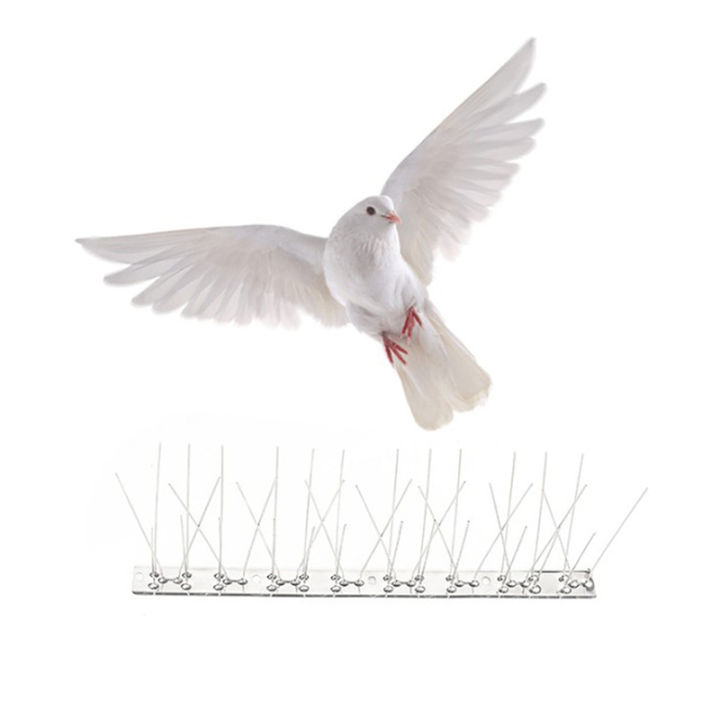 Stainless Steel Bird Repellent Spikes Pigeon Nail Bird Deterrent Tool ...