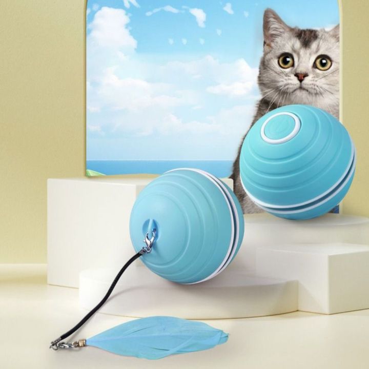 Cat Rolling Ball Automatic Interactive Cat Ball Toy with Feather and ...