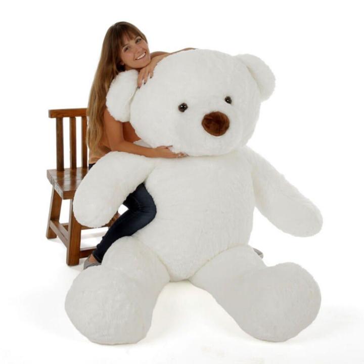 GAS 2 ft Teddy Bear - White | Daraz.lk