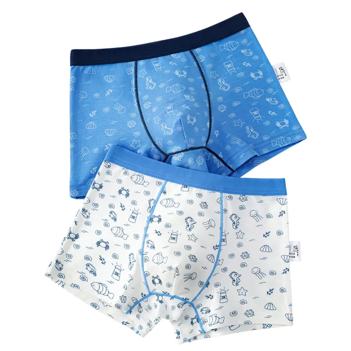 2pcs/lot Cartoon Boy Boxer Graphic Underwear White Blue Boy Cotton ...