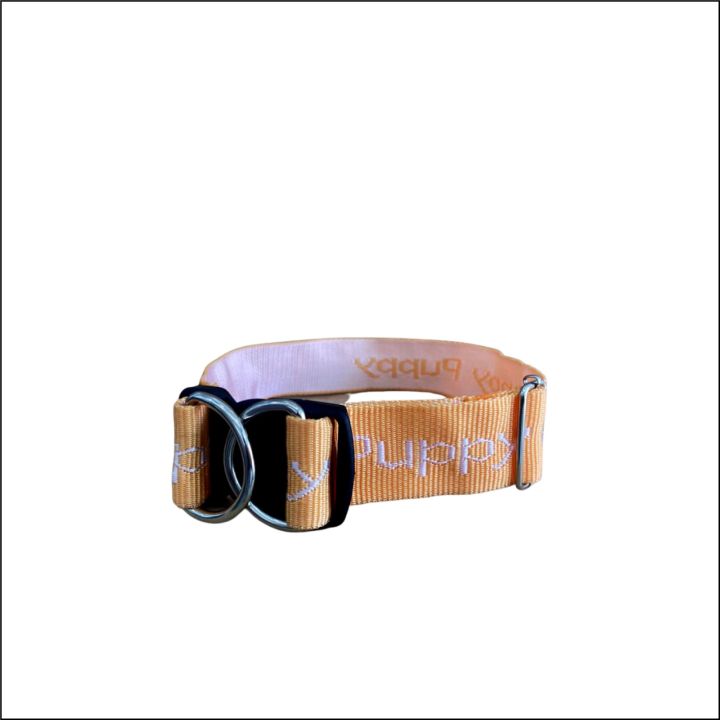 Happy Puppy Dog Collar 4 Different Colors | Daraz.lk
