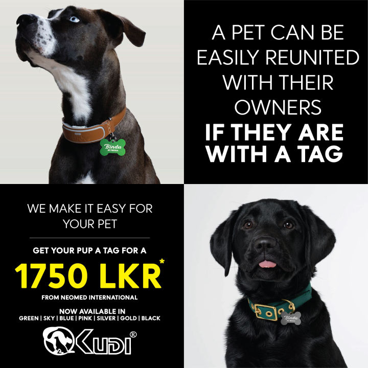PET NAME TAG | Daraz.lk: Buy Online at Best Prices in Srilanka | Daraz.lk