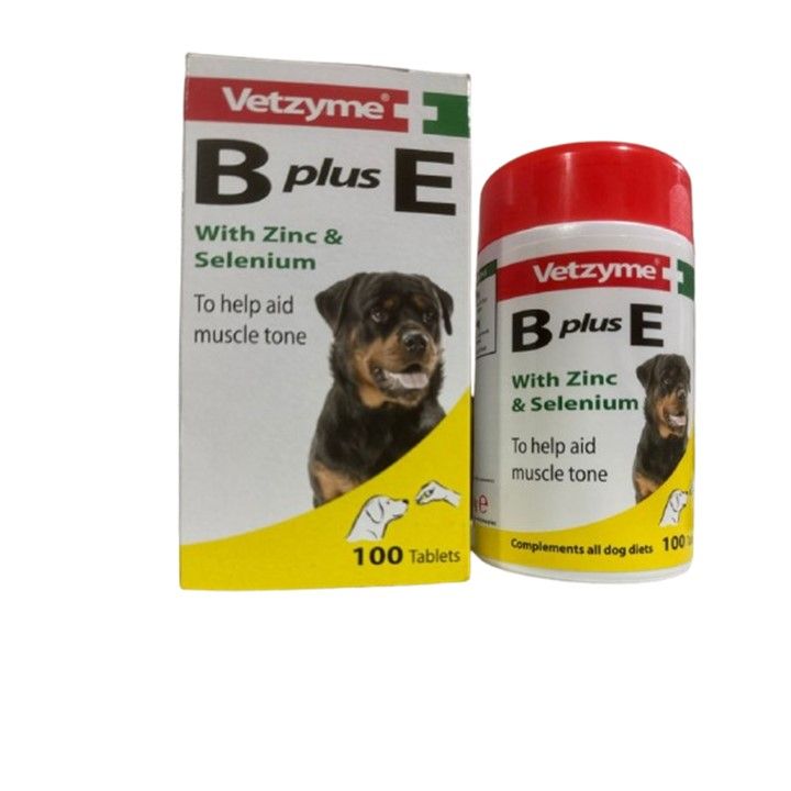Vetzyme B Plus E 100 Tablets With Zinc & Selenium (Dog Vitamin ...