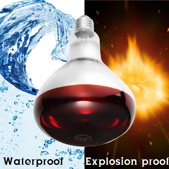 Infrared Insulation Bulb 150W Interface Heat Lamp - 150W | Daraz.lk