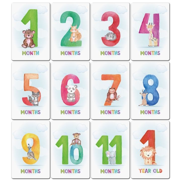 12 Pcs Month Sticker Baby Photography Milestone Memorial Monthly ...