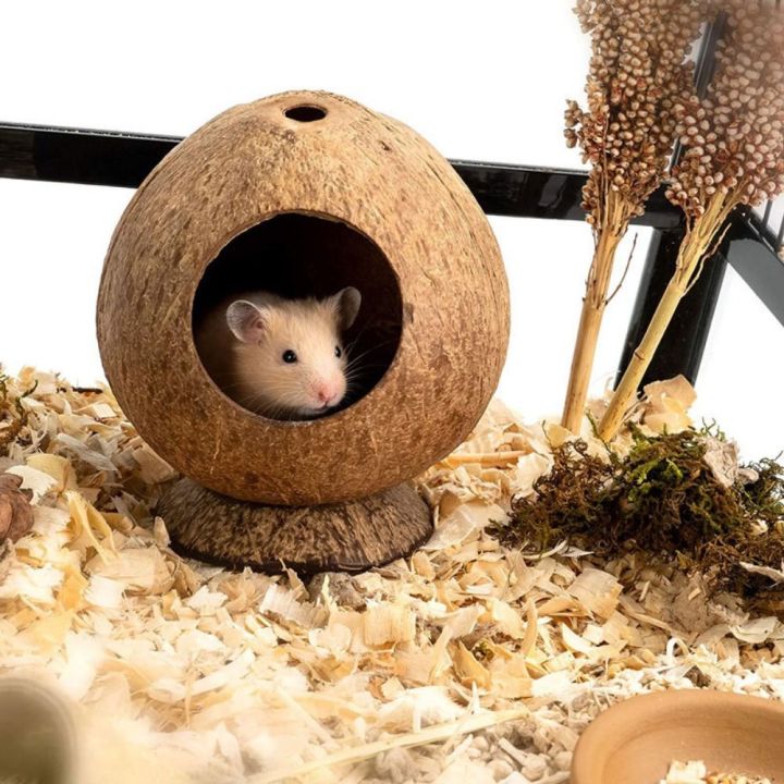 Hamster Hideout Shelter Scratch-resistance Coconut Shell Hamster House ...