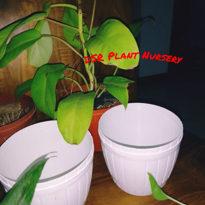 high quality barrel pots/5 psc pots/pot/pots | Daraz.lk