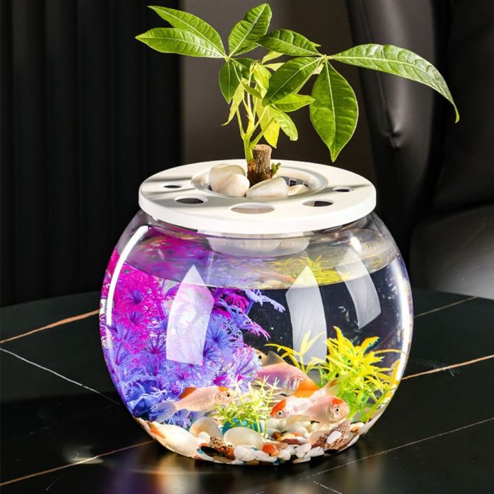 Tortoise Enclosure Transparent Small Clear Fish Plastic With Lid Turtle ...