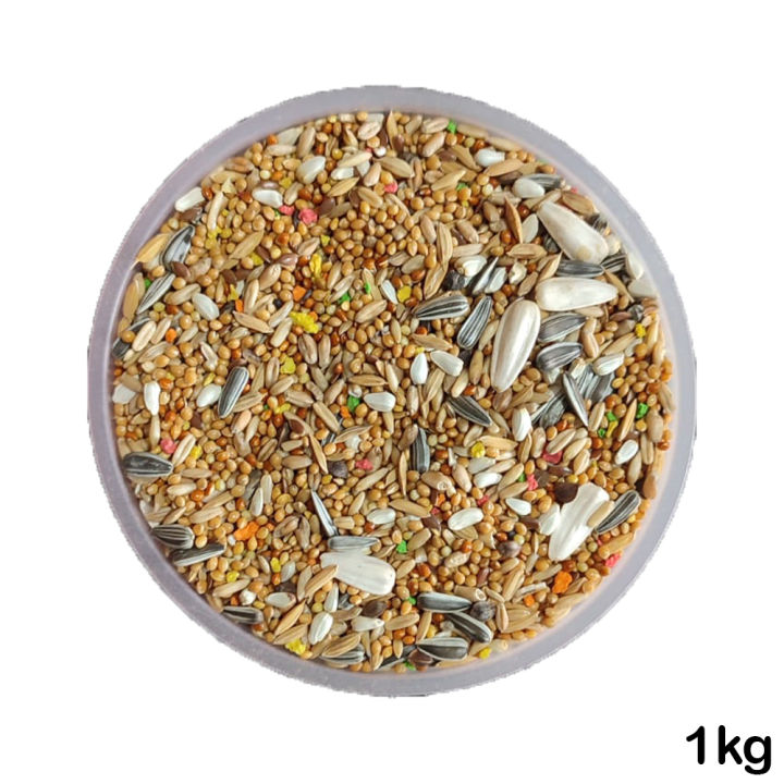 Cockatiel Seed Mix – Sunflower & Bajiri Blend 14+ Seed Mix for ...