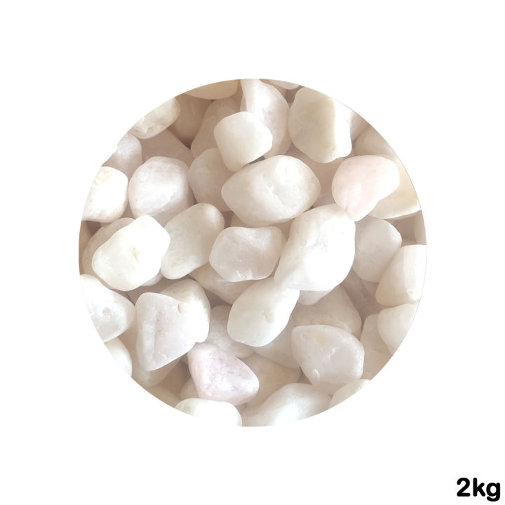 Aquarium Gravel White Stones for Fish Tank Pond 2kg Decoration Stone ...