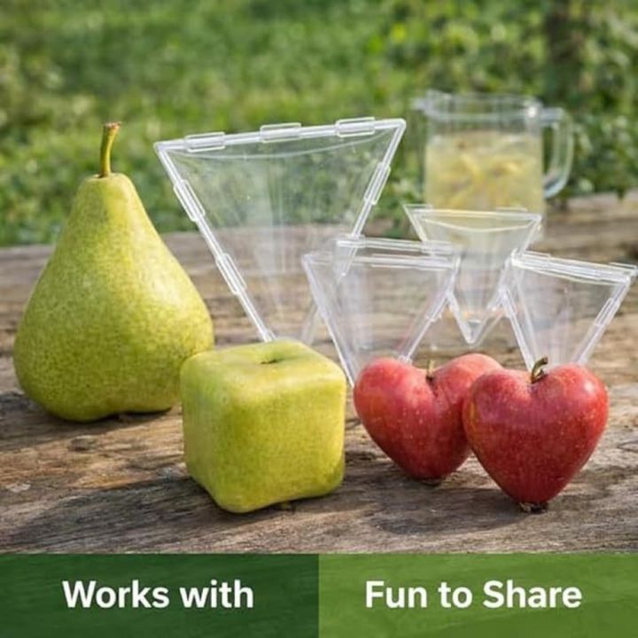 Garden Fruit Protector Transparent Tomato Growing Shaping Mold Growing ...