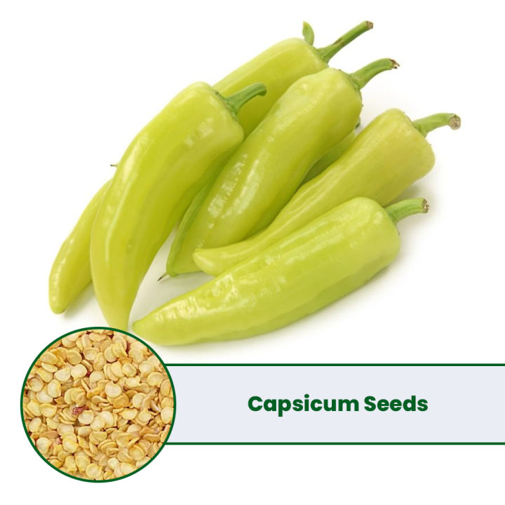 Capsicum Seeds 10g - High Quality Seeds | Daraz.lk