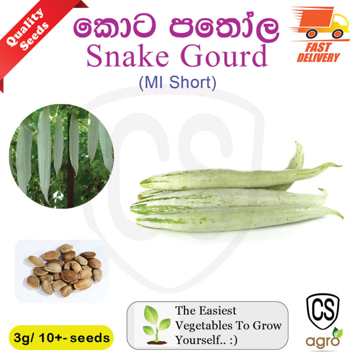 Pathola Beeja Mi Short Snake gourd Seeds Gardening Agriculture Home ...