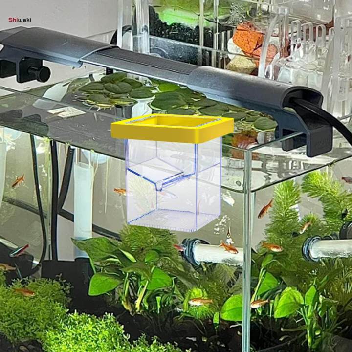 Breeding Box Tank Hatchery for Betta Baby Fishes | Daraz.lk